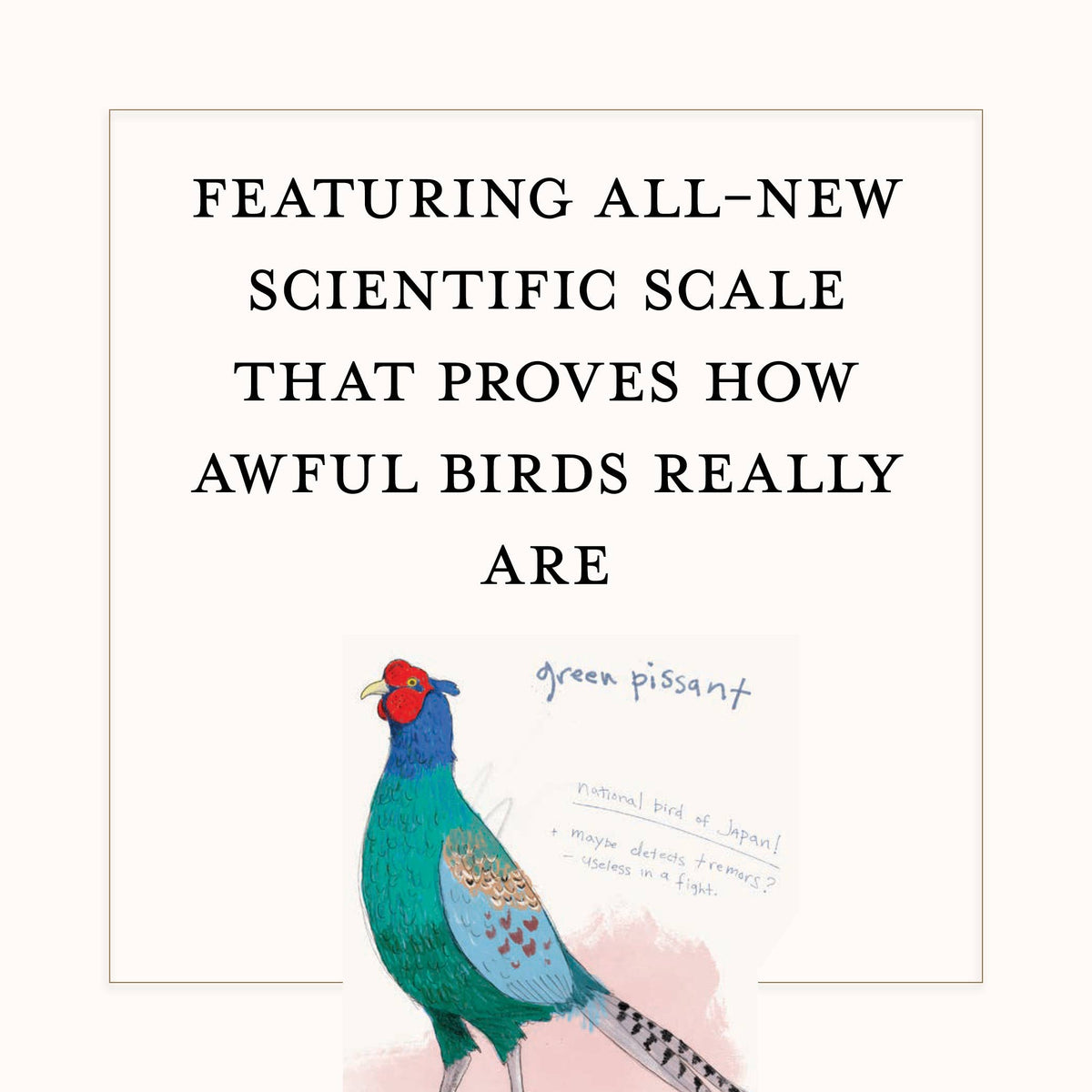 Dumb Birds Field Guide to the Worst Birds Ever – Wild Lettie