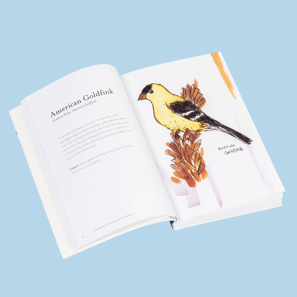 The Field Guide to Dumb Birds of America – Wild Lettie